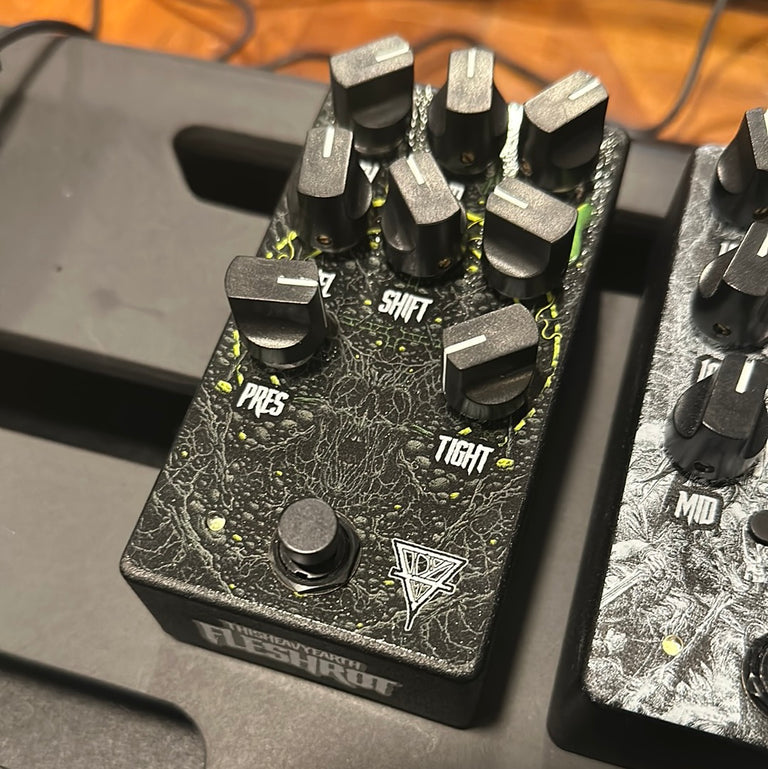 FLESH ROT v2 – thisheavyearth